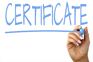 International Child Protection Certificate